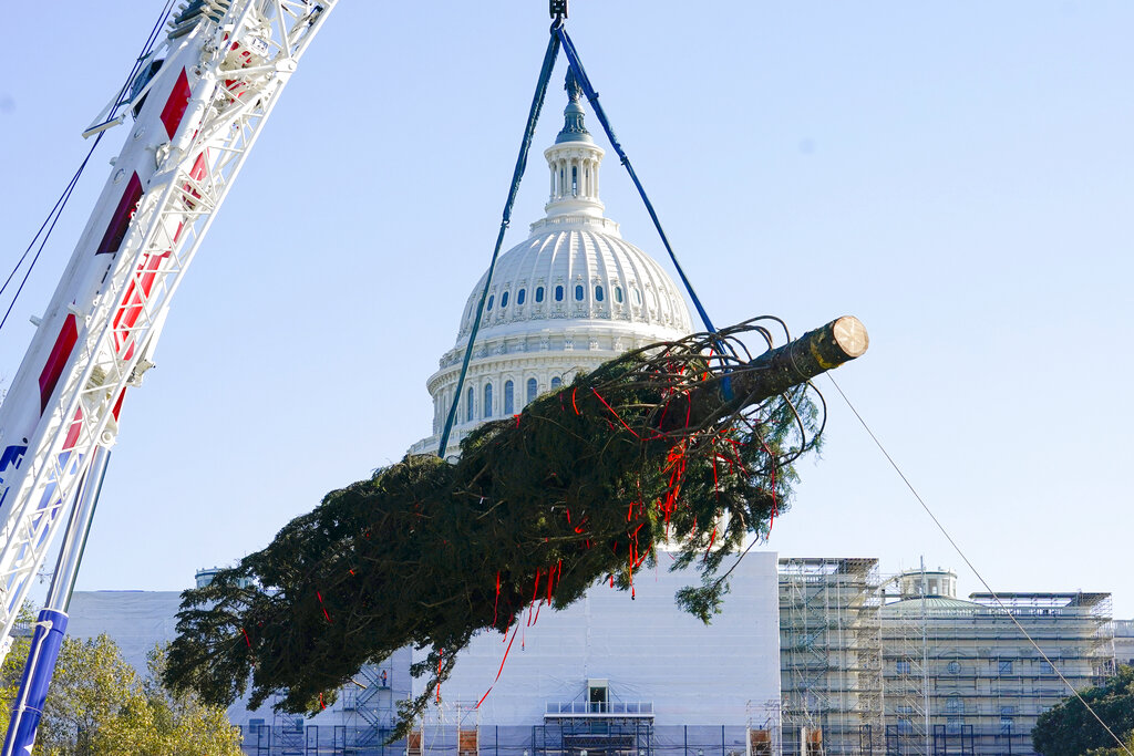 Early population data show blue states at risk of losing electoral ...