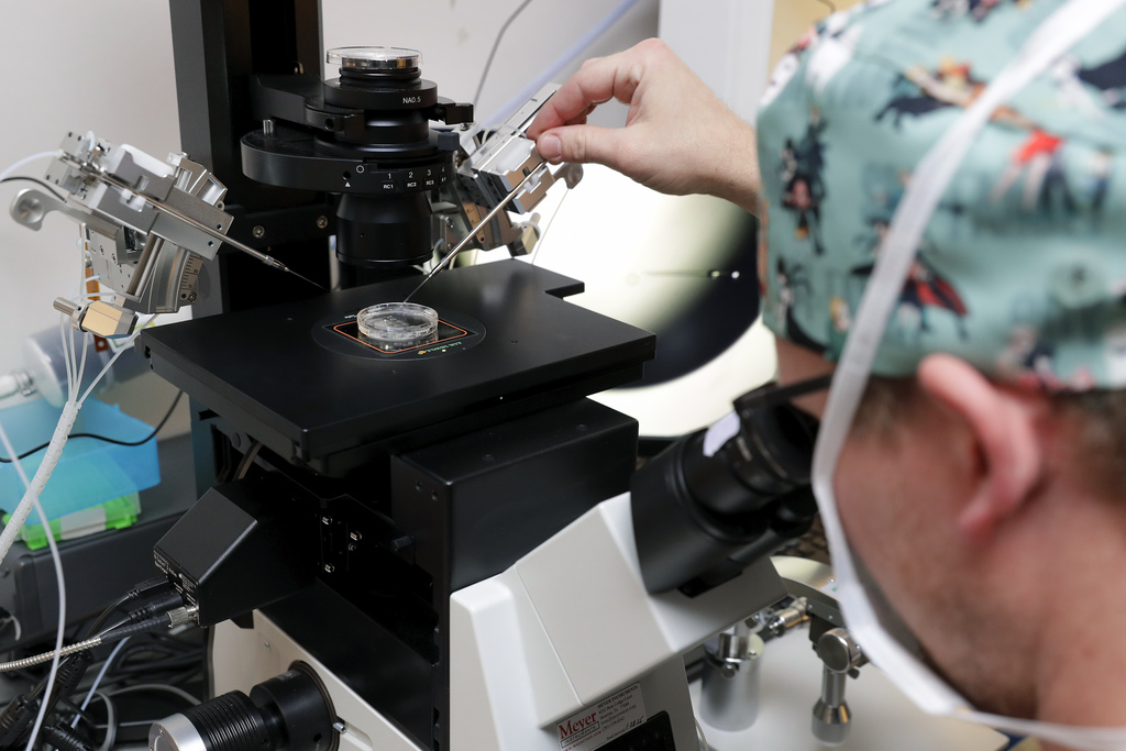 La. IVF protection bill shelved amid dispute over definition of embryo ...